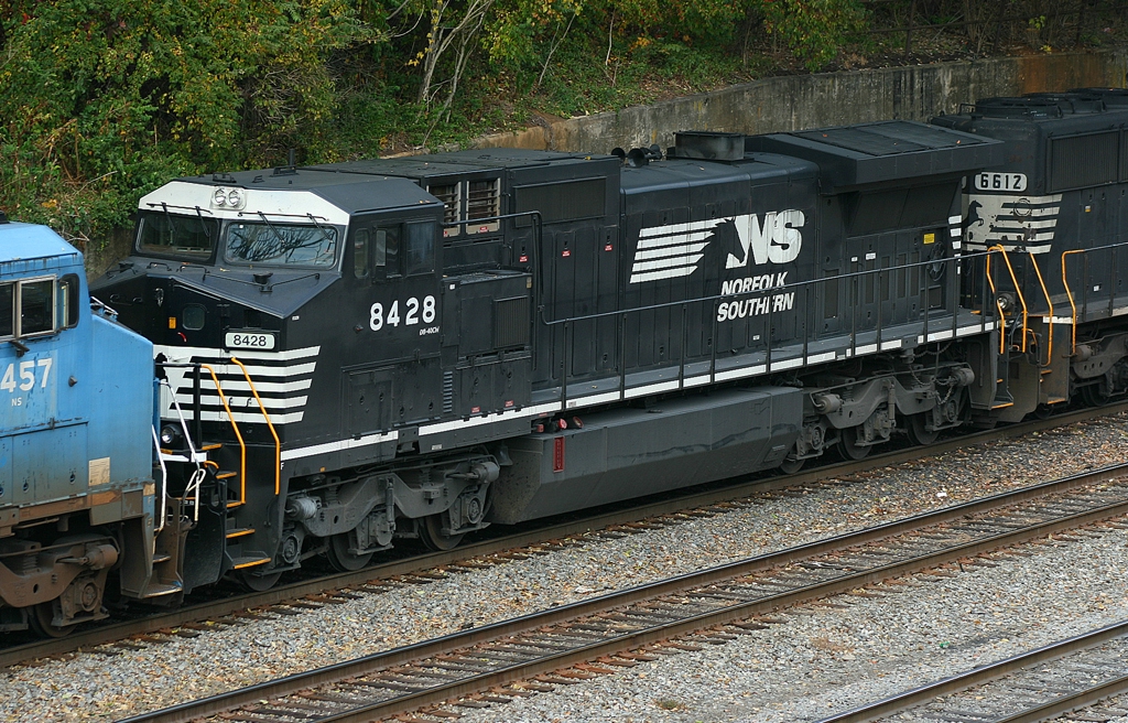 NS 8428